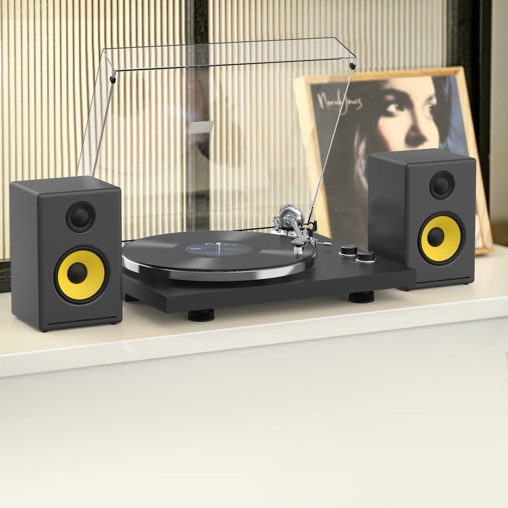 Audio Keeper | Abundant Types of Turntable Speaker Systems