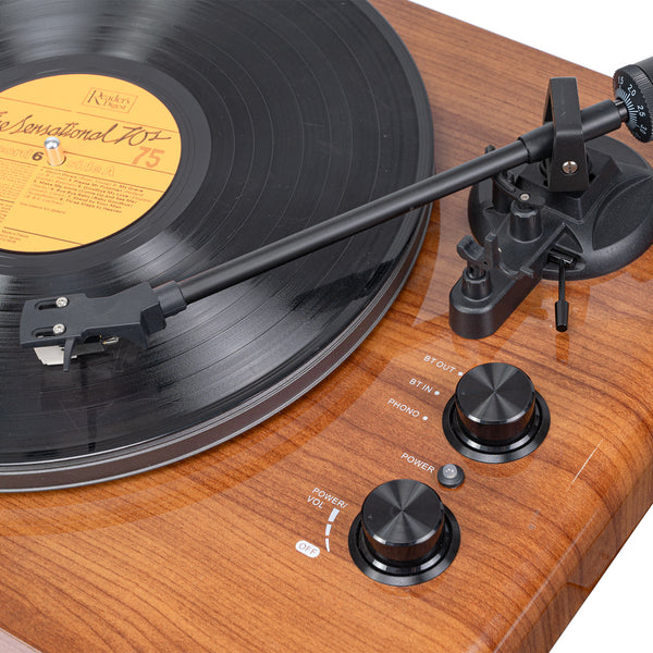 Audio Keeper | UD009 High-End Bluetooth 2-Speed Turntable - Audiophile Vinyl Player