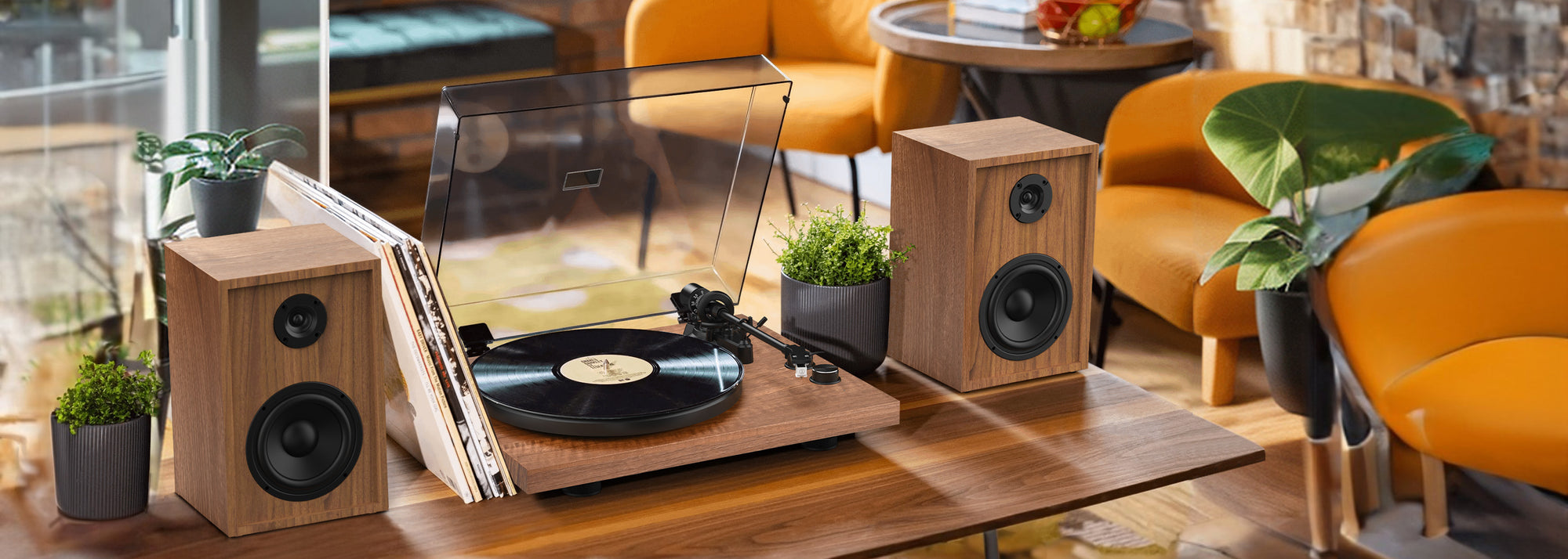 Turntable Speaker Systems | Premium Vinyl Audio & Bluetooth Speakers